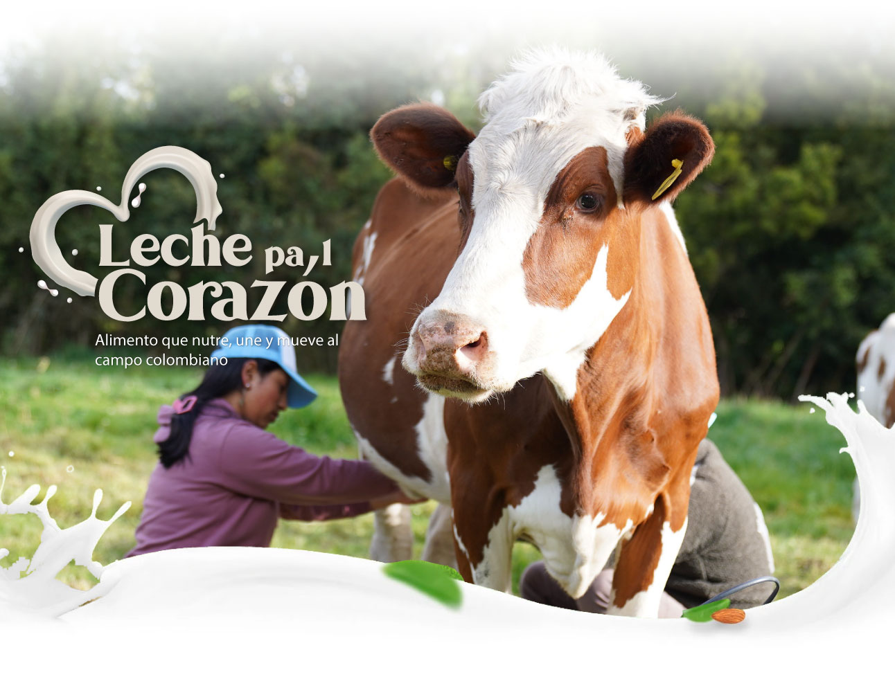 Leche pa´l Corazón 2 | Agencia de Desarrollo Rural
